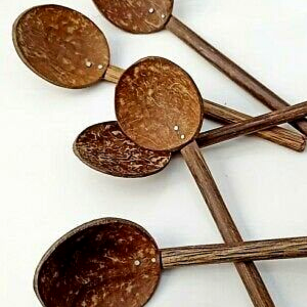 Coconut Shell Handicrafts – OrumIndicus